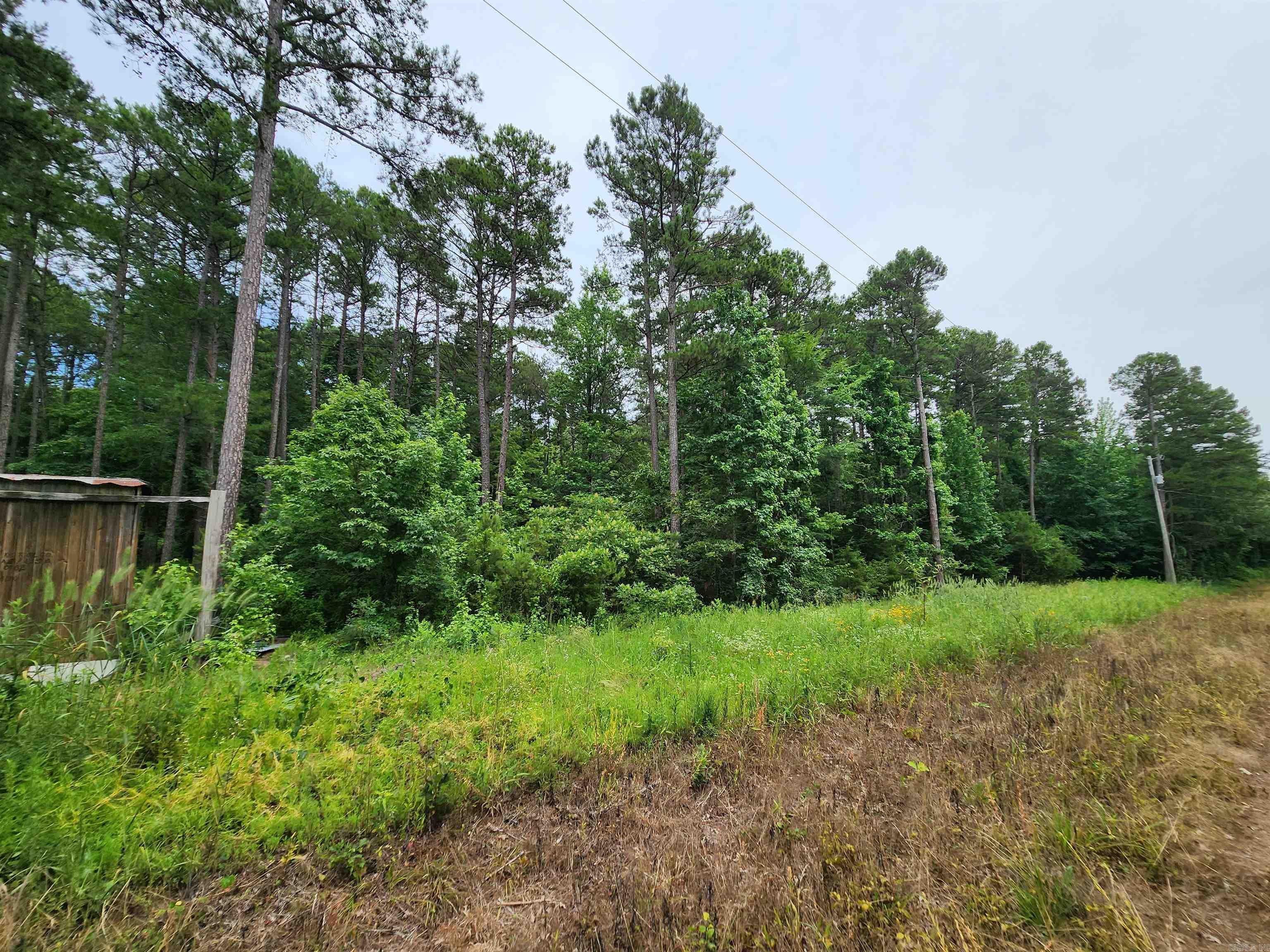 35 Pine Tree Rd Greers Ferry, AR 72067 - MLS# 23020814