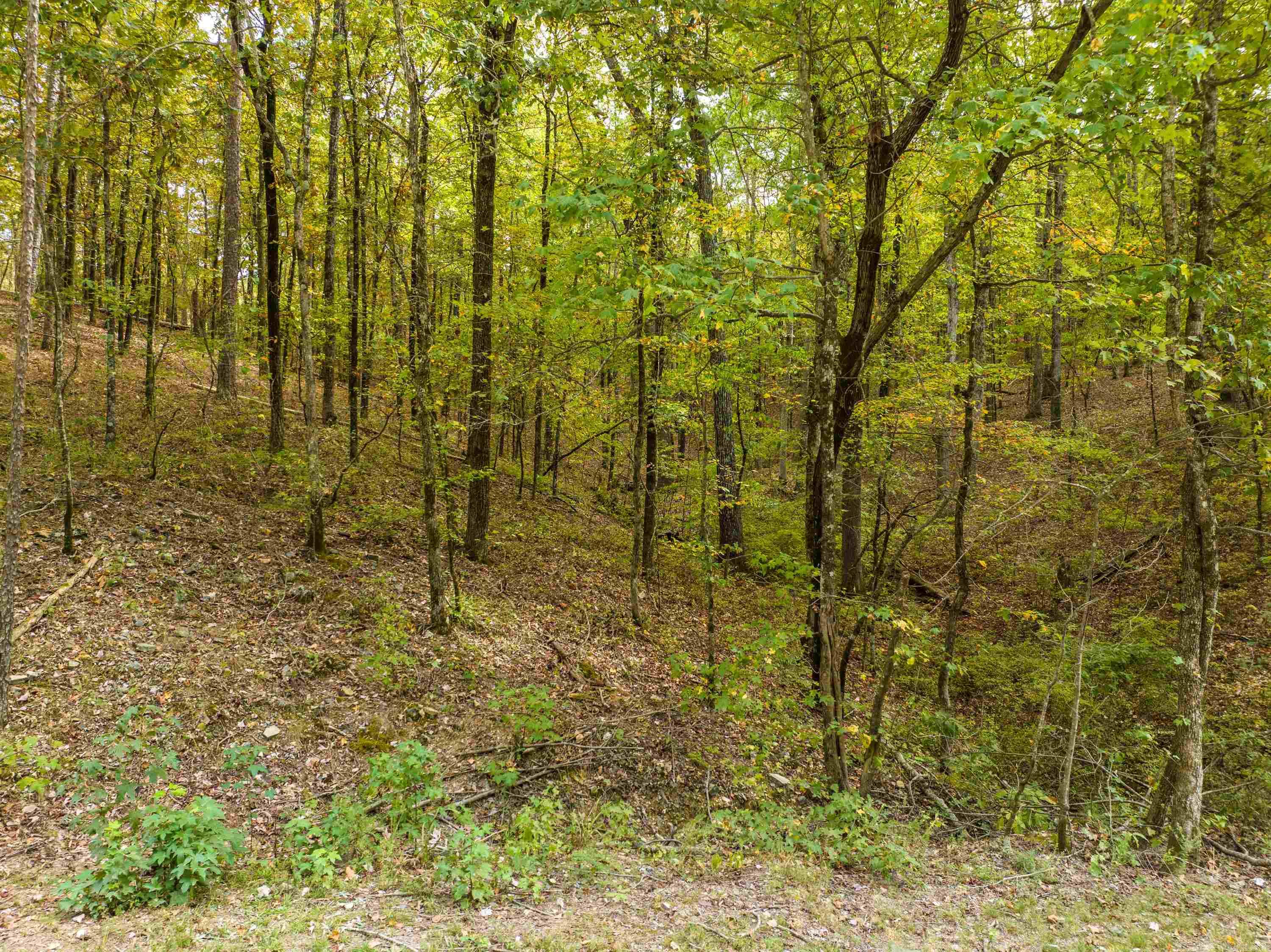Dixie Hot Springs, AR 71913 - MLS# 24017262