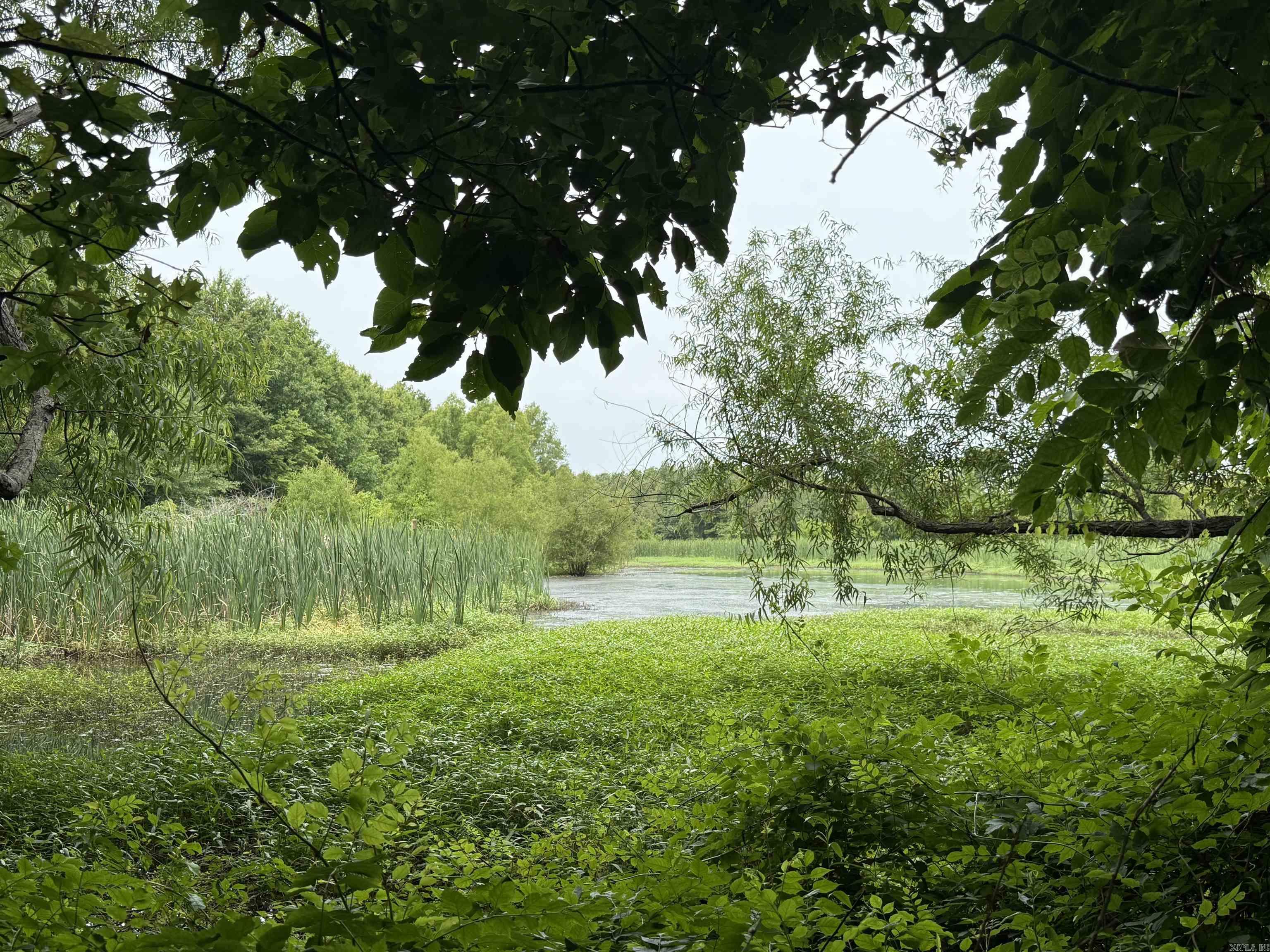 118 cloar rd Earle, AR 72331 - MLS# 25023045