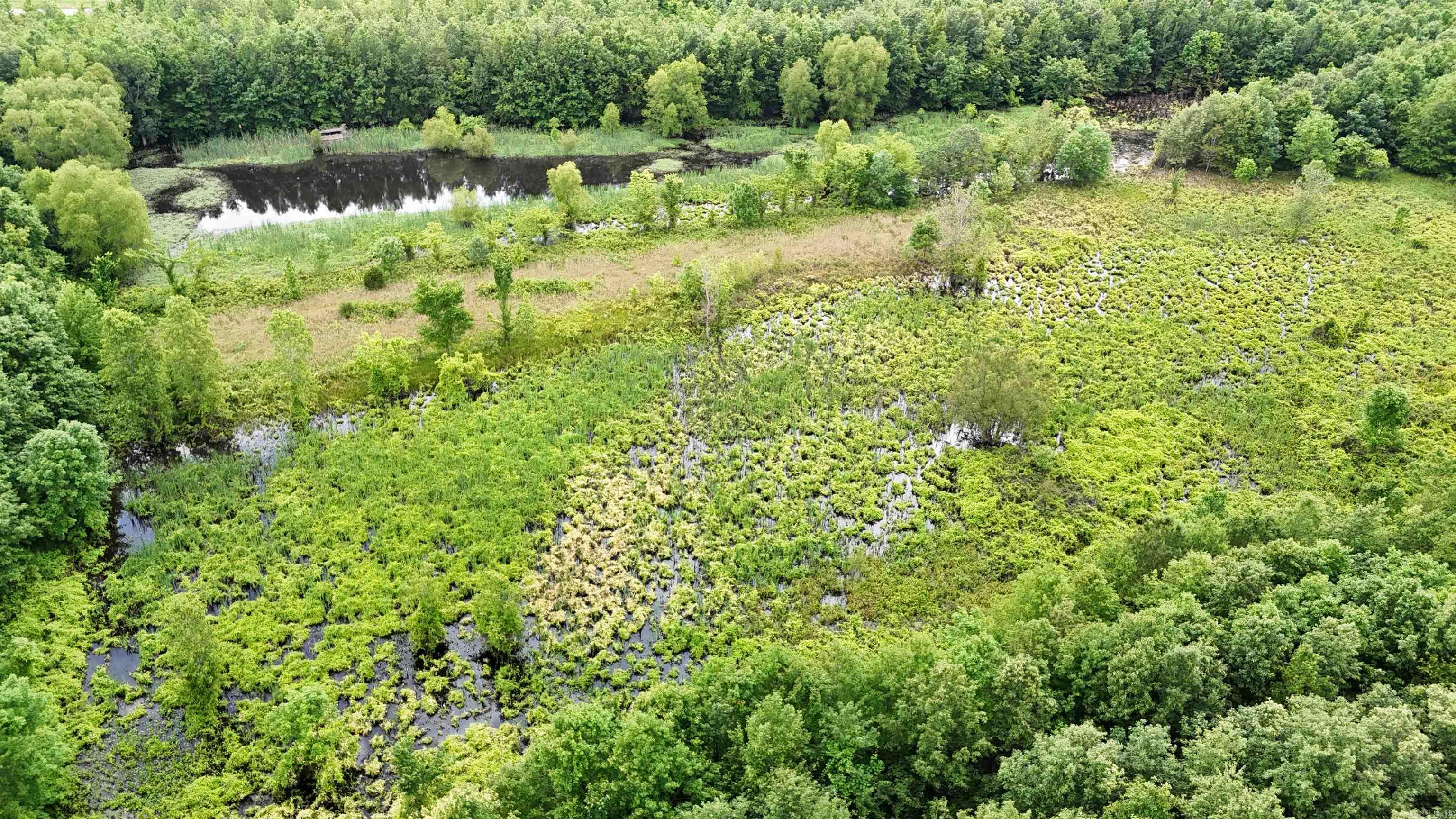 118 cloar rd Earle, AR 72331 - MLS# 25023045