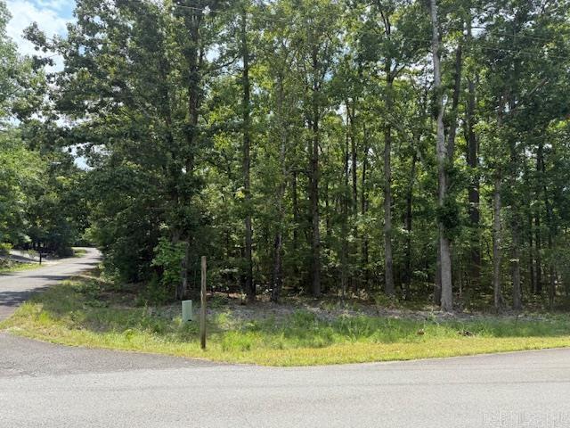1 Hortezuela Trace Hot Springs Village, AR 71909 - MLS# 25030158