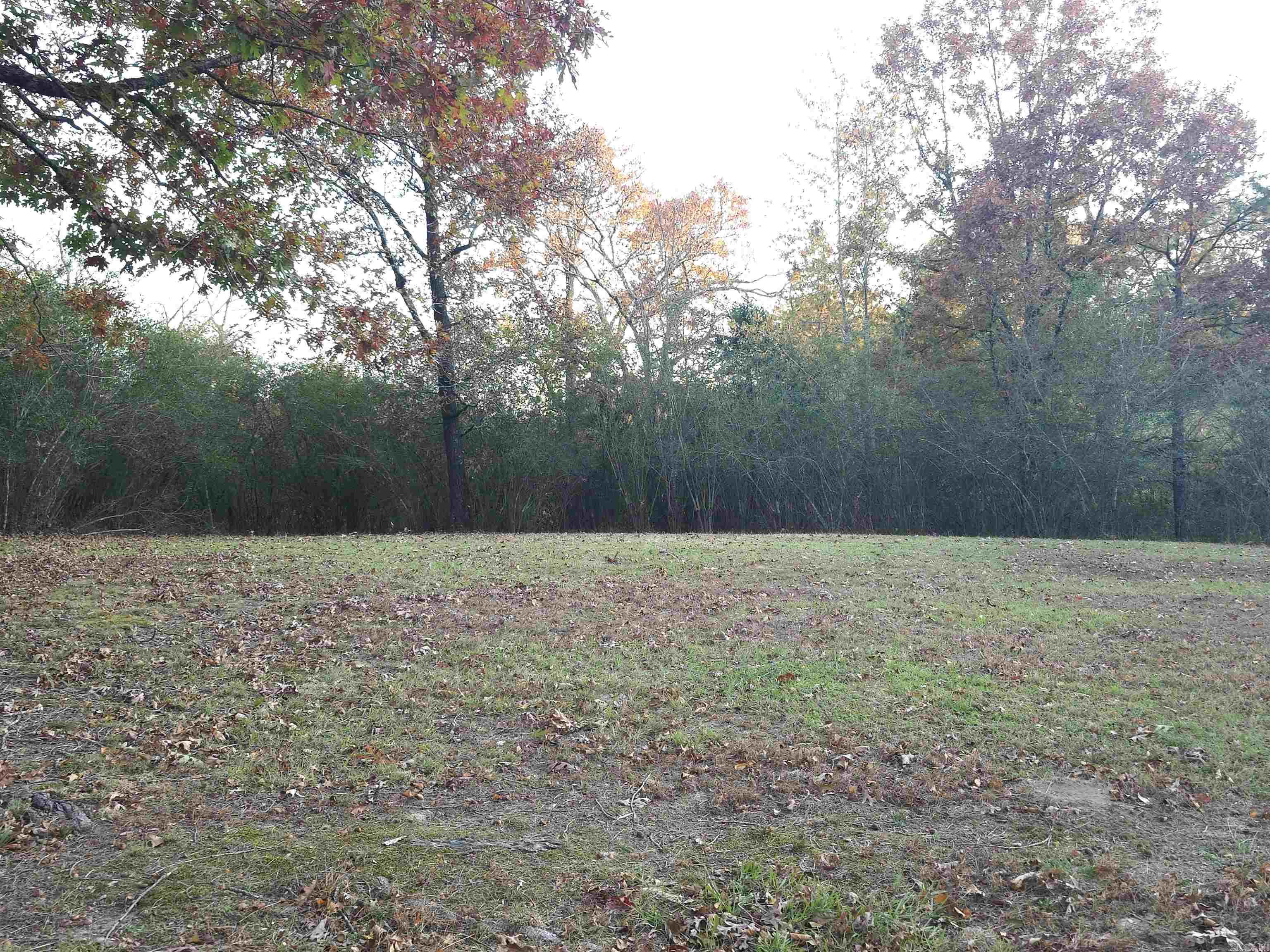 123 Moore Hatfield, AR 71945 - MLS# 25045221