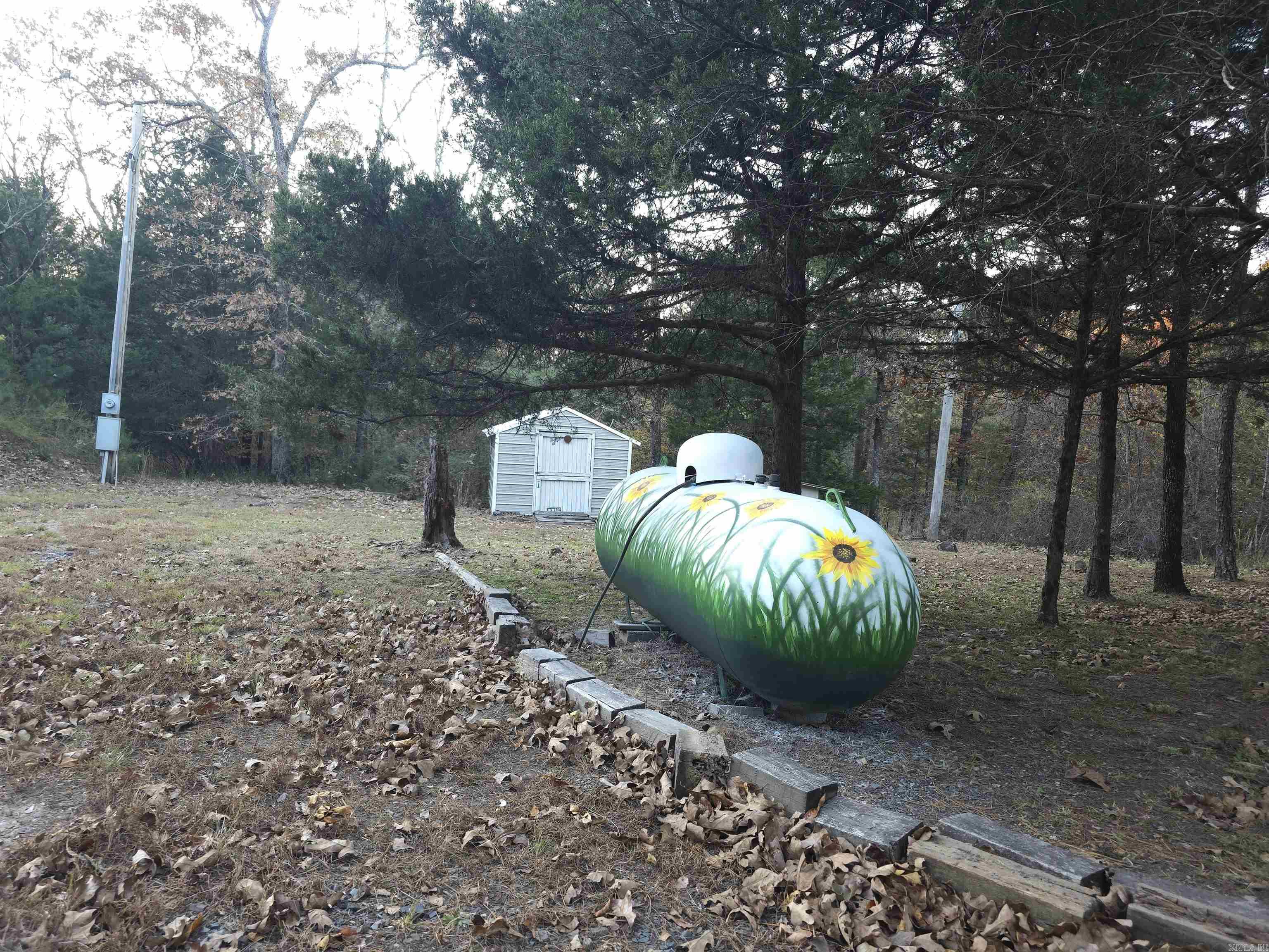 123 Moore Hatfield, AR 71945 - MLS# 25045221