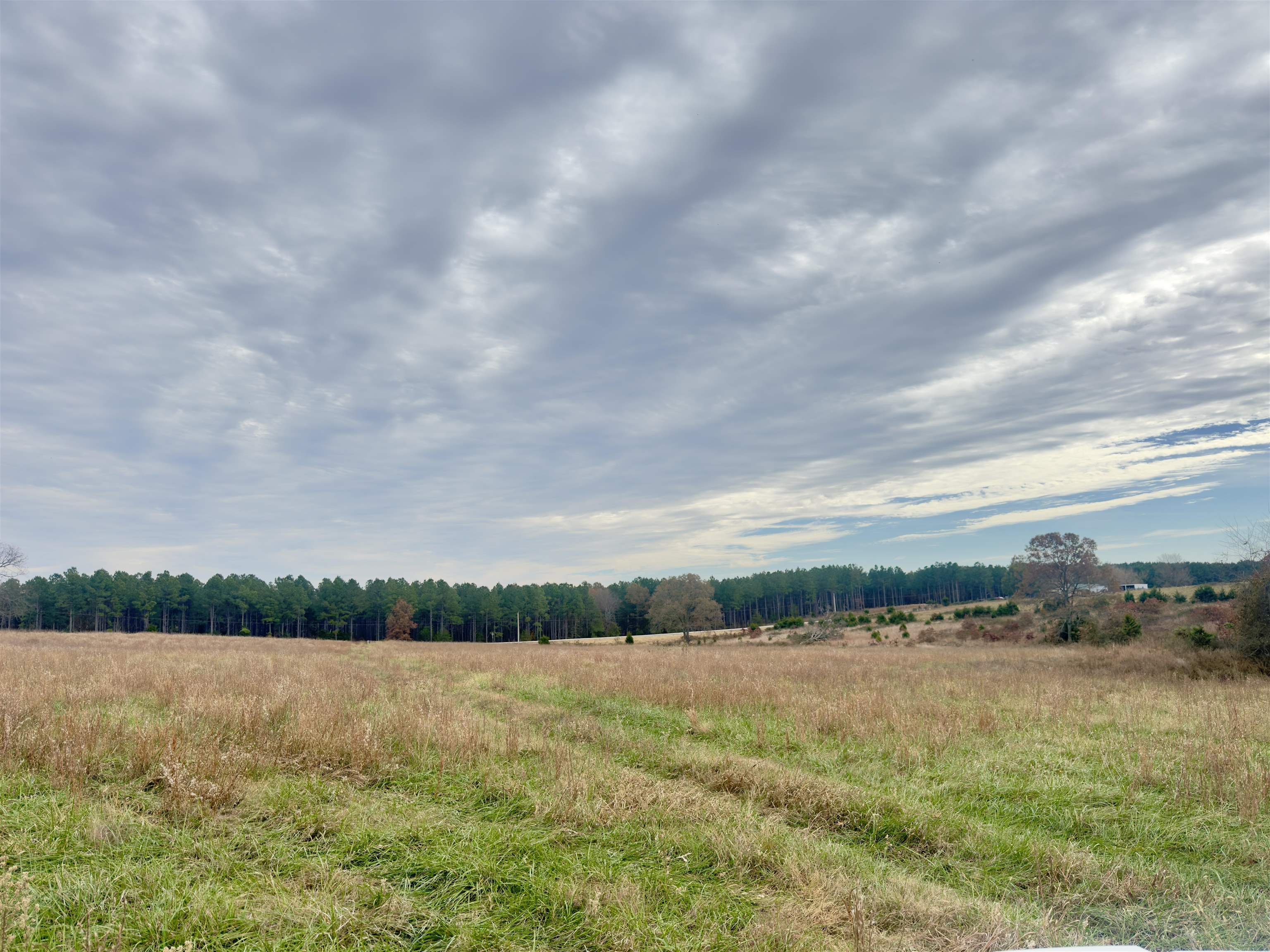 870 AR 289 Hwy Sage, AR 72573 - MLS# 25045442