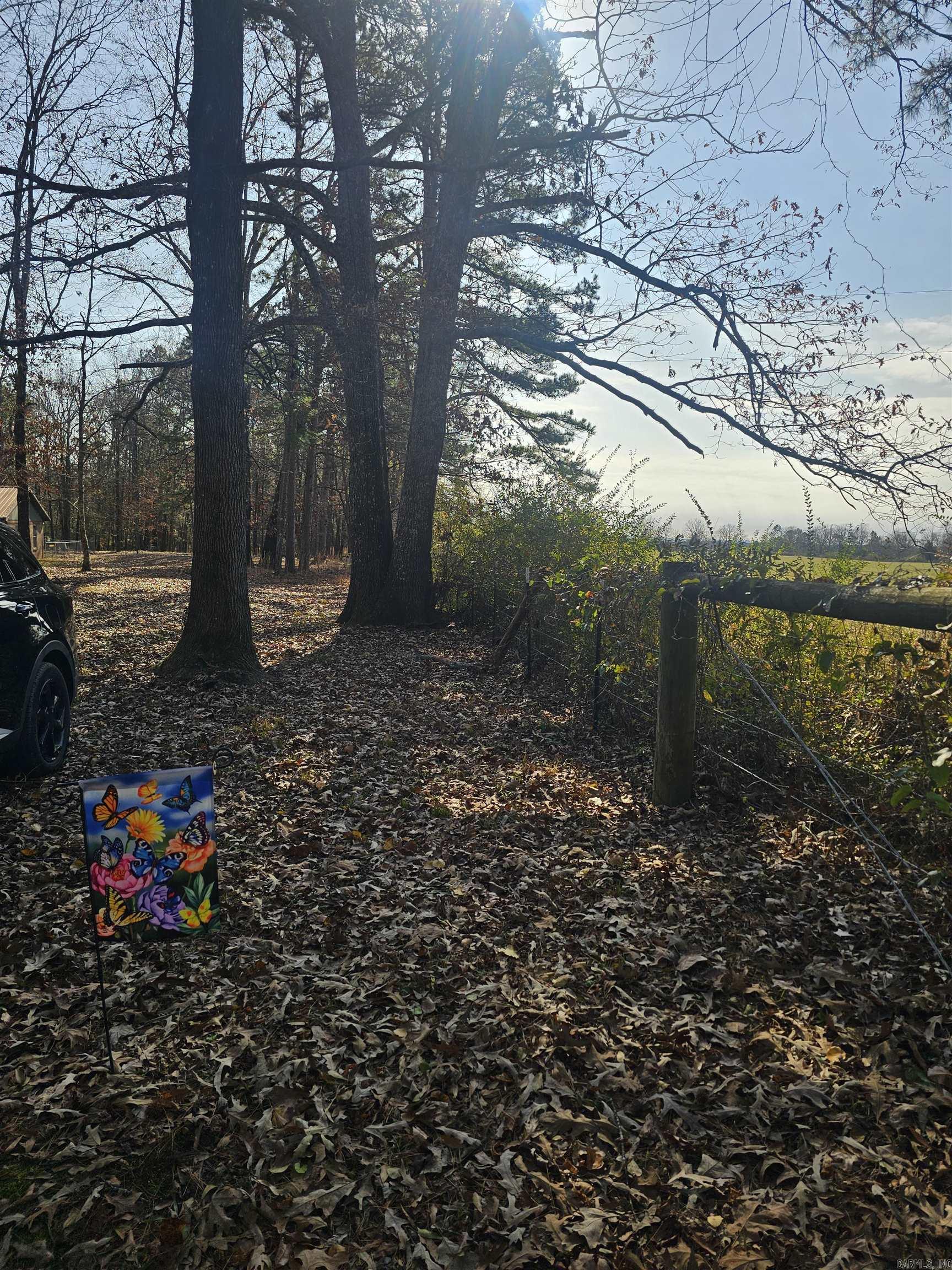 Unk Gilbert Mena, AR 71953 - MLS# 25049907