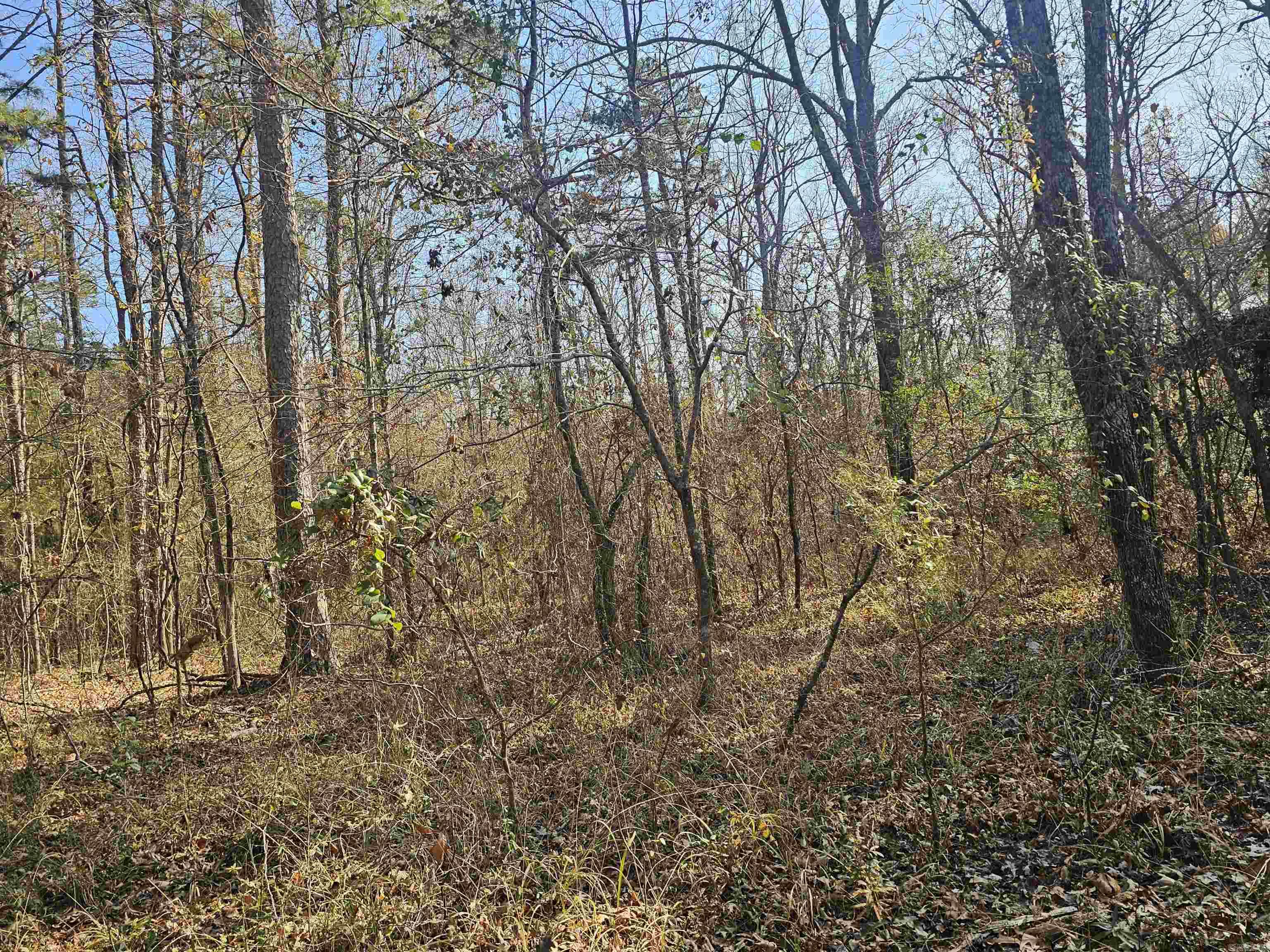 Unk Gilbert Mena, AR 71953 - MLS# 25049907