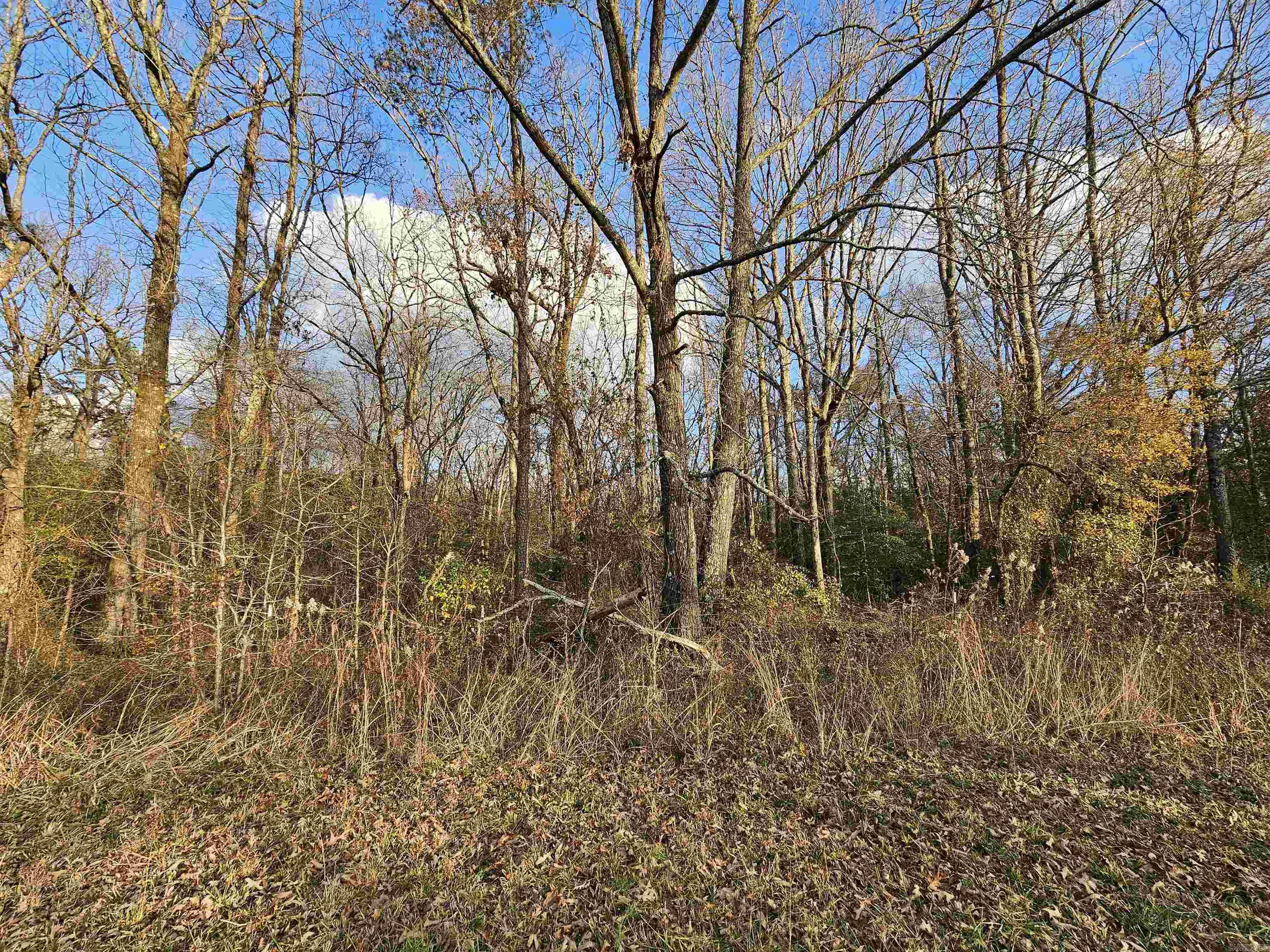 Unk Gilbert Mena, AR 71953 - MLS# 25049907