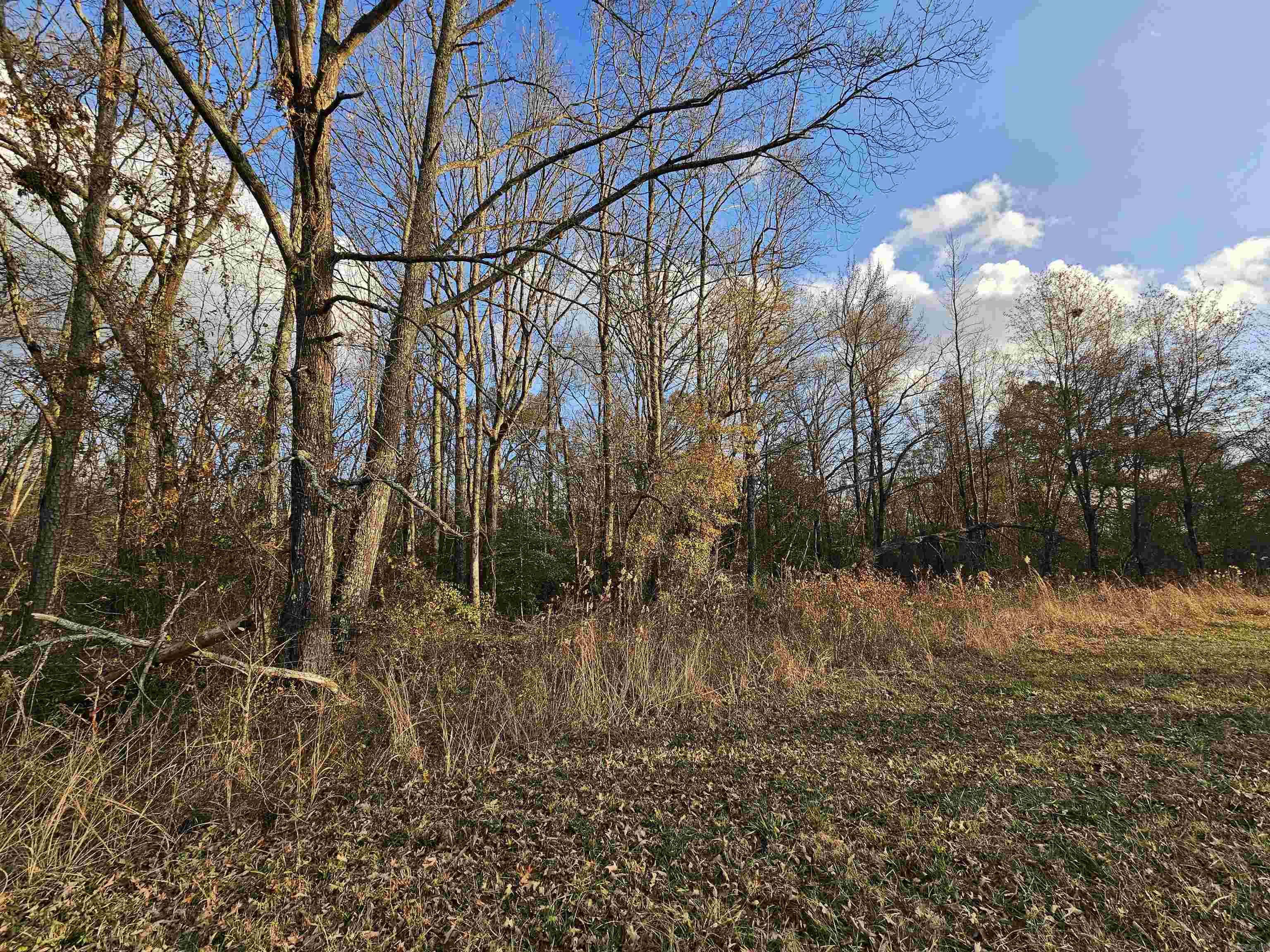 Unk Gilbert Mena, AR 71953 - MLS# 25049907